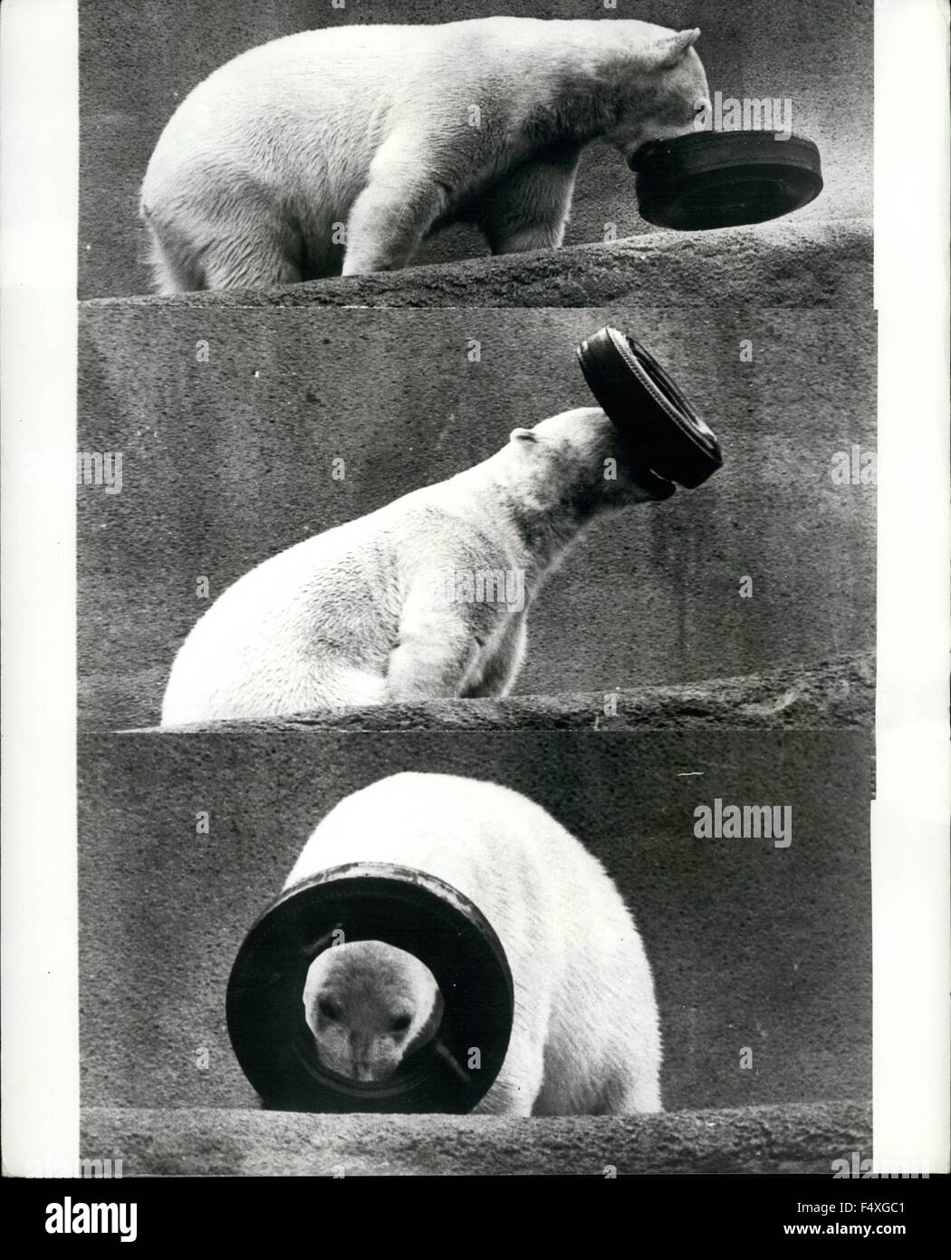 1968 - Playtime with pipalux. Enjoying the Warner weather at his home ...