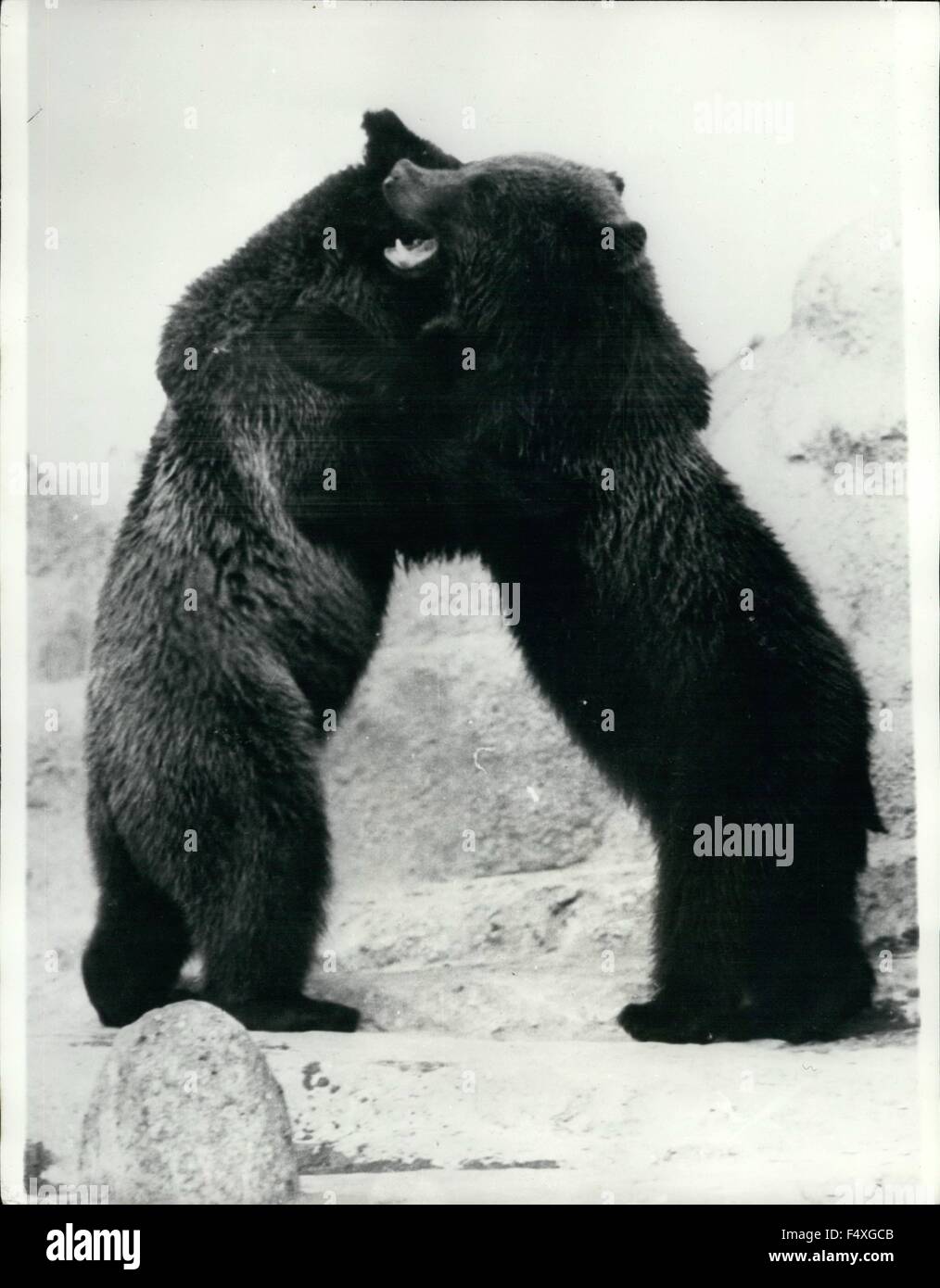 1968 - Bear Hug : ''it's Lovely to meet you again'' said the two bears ...