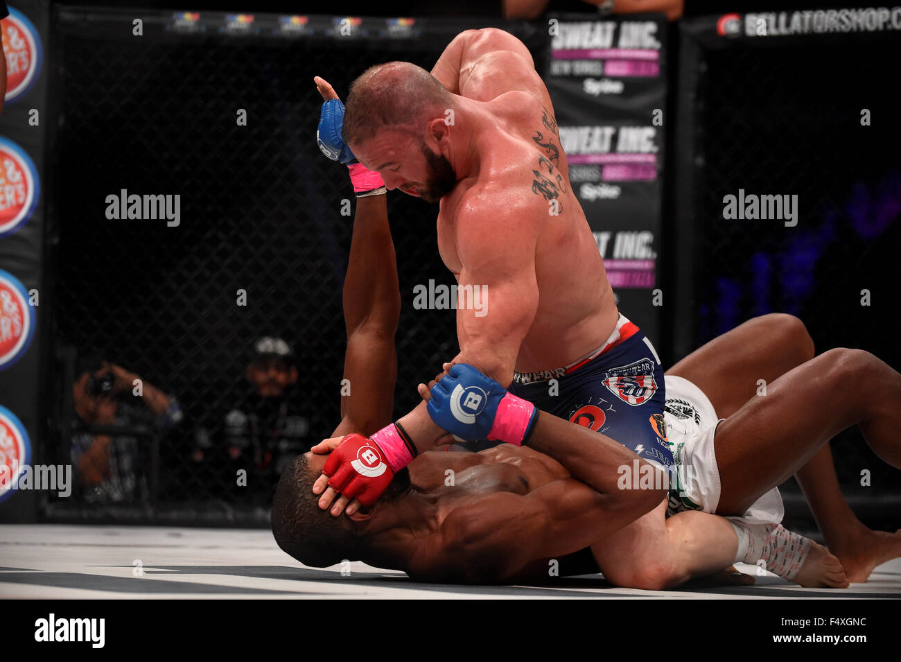 Brandon halsey hi-res stock photography and images - Alamy