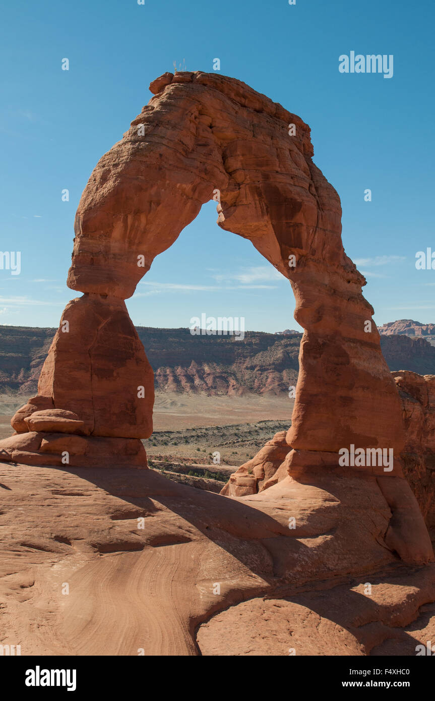 Stunning delicate hi-res stock photography and images - Alamy