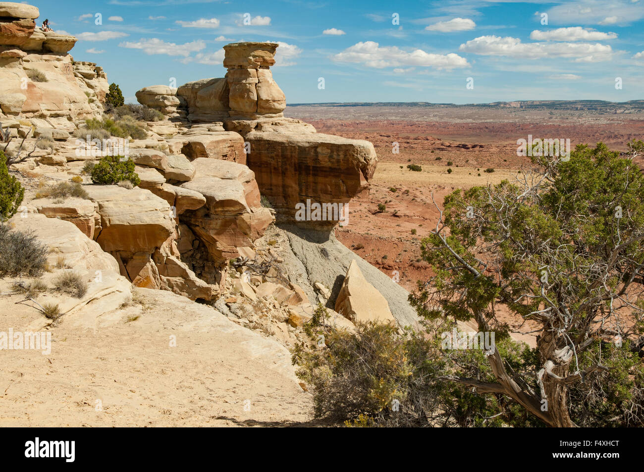 Cliff in Salt Wash View Area, Utah, USA Stock Photo - Alamy