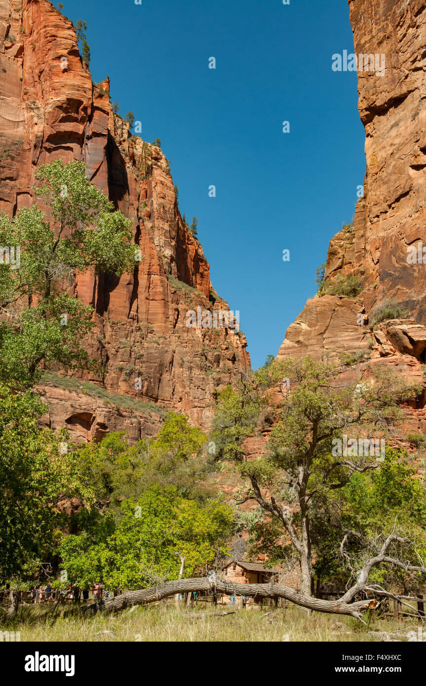 Temple of Sinawava, Zion NP, Utah, USA Stock Photo - Alamy