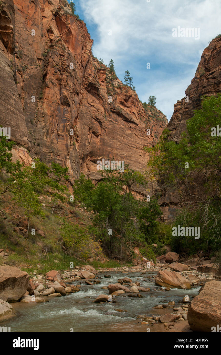 Riverside walk zion canyon hi-res stock photography and images - Alamy
