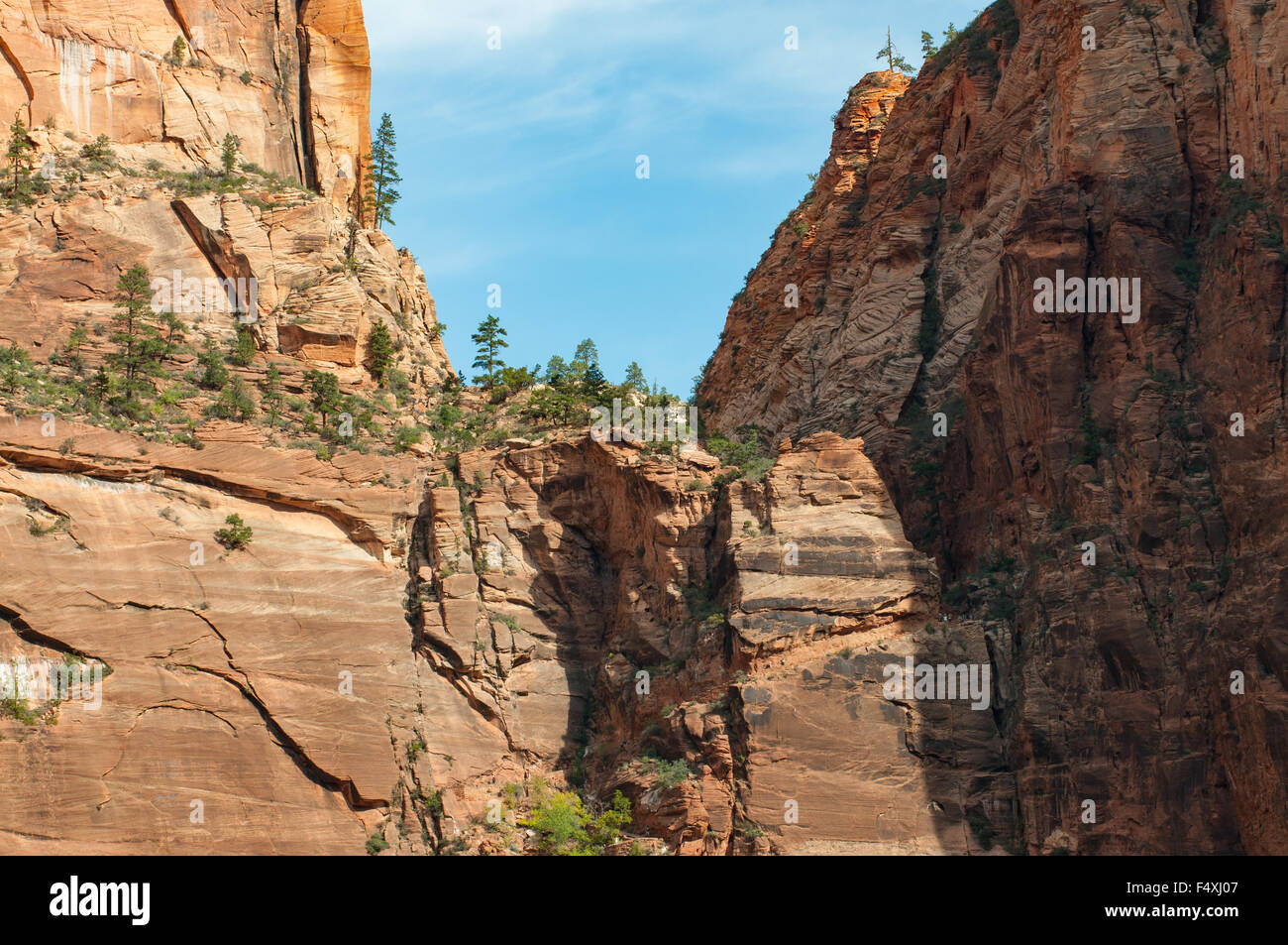 Angel's Landing, Zion NP, Utah, USA Stock Photo - Alamy