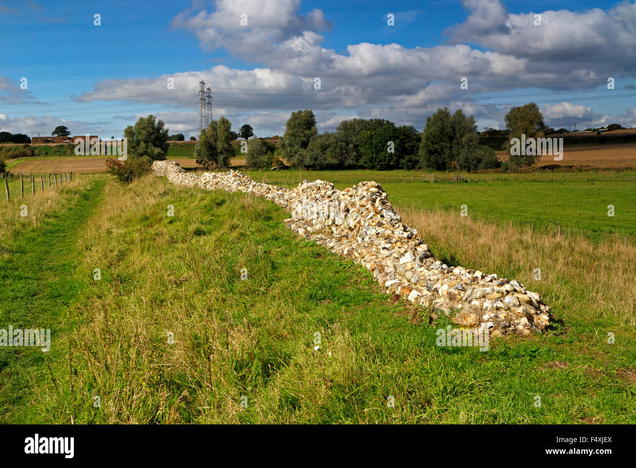 A section of the remains of a Roman bank and wall at Venta Icenorum at ...