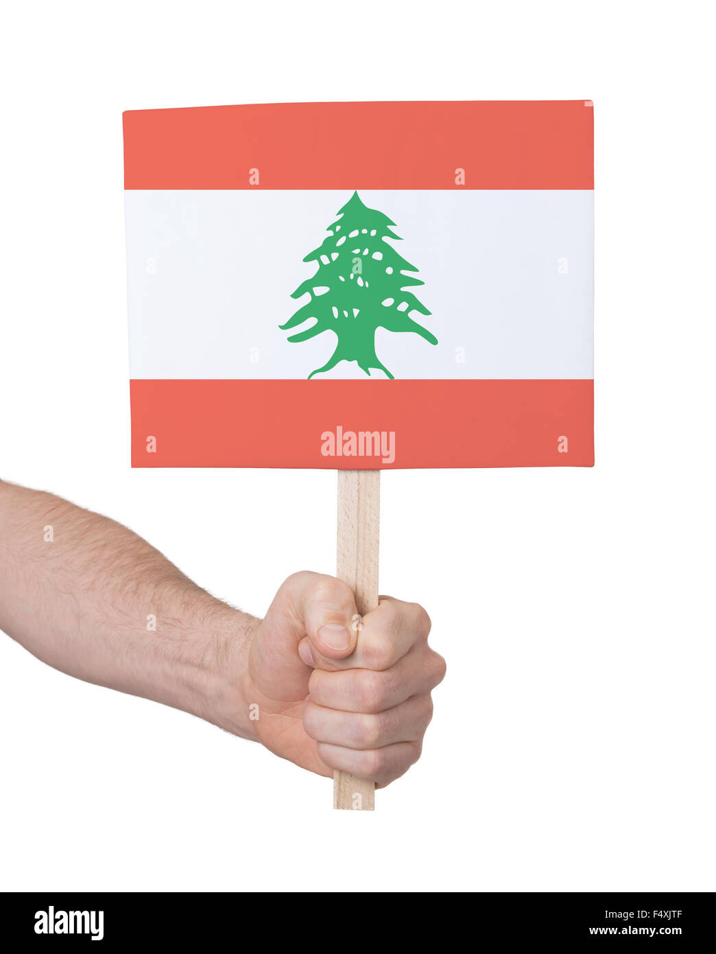 Hand holding small card, isolated on white - Flag of Lebanon Stock ...
