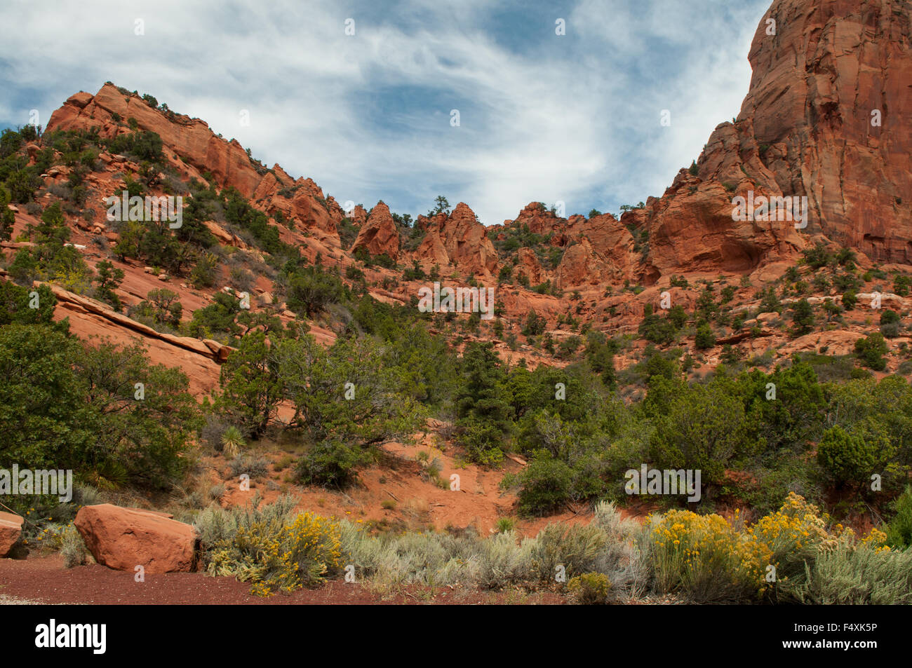 Stunning view zion canyon hi-res stock photography and images - Alamy