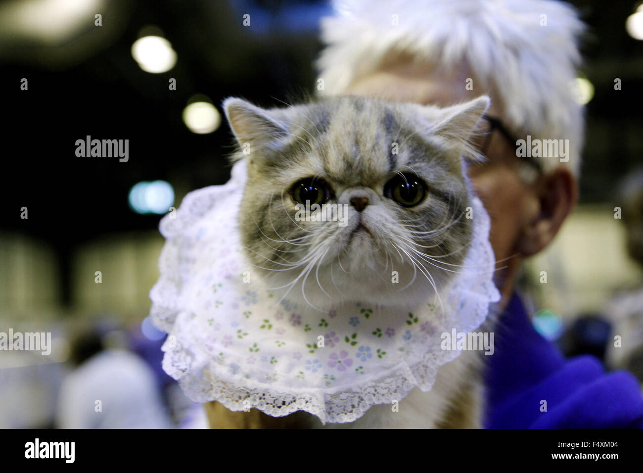 Birmingham, UK. 24th Oct, 2015. 39th Supreme Cat Show held at the NEC ...