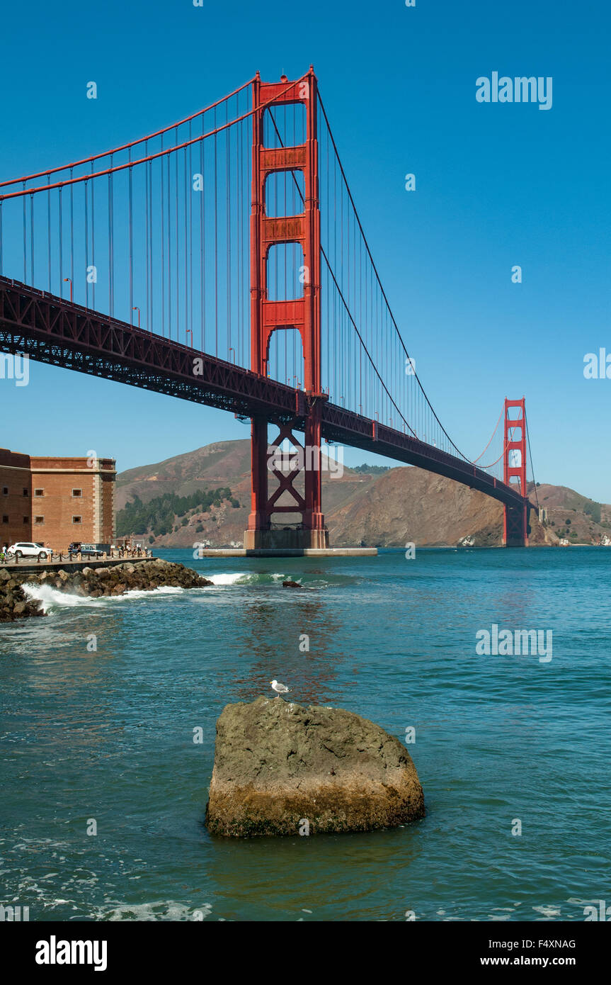 Bungee Jumping Off The Golden Gate Bridge