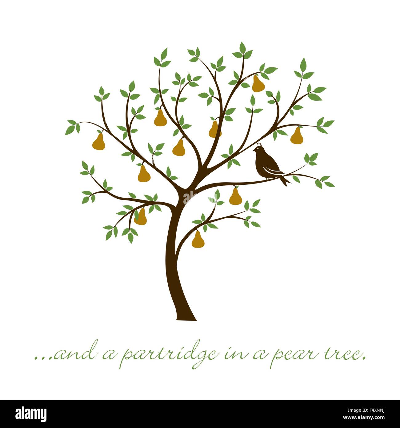 Partridge in a pear tree Christmas card in vector format Stock Vector ...