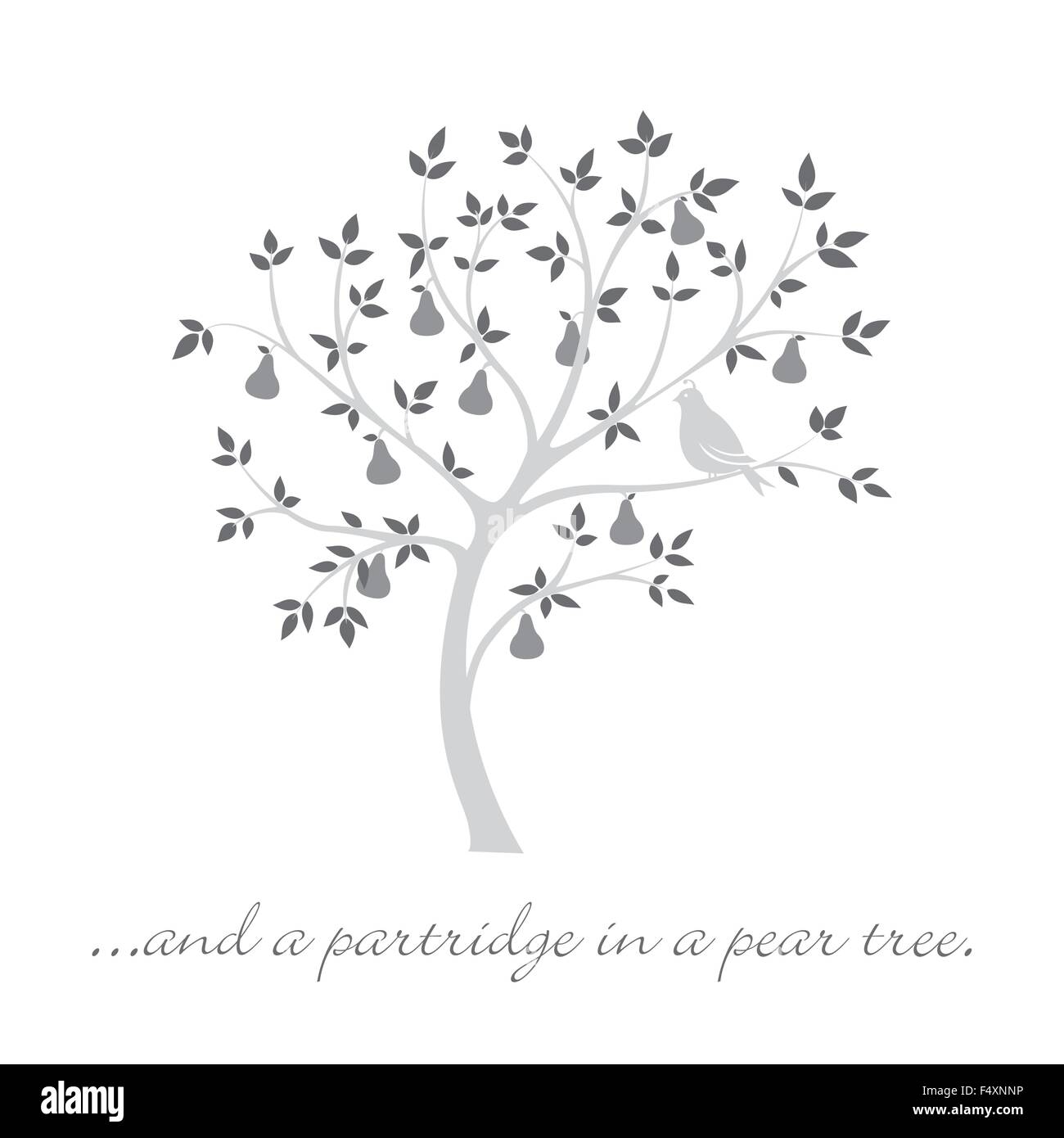 Partridge pear tree Stock Vector Images - Alamy Partridge pear tree Stock Vector Images - Alamy