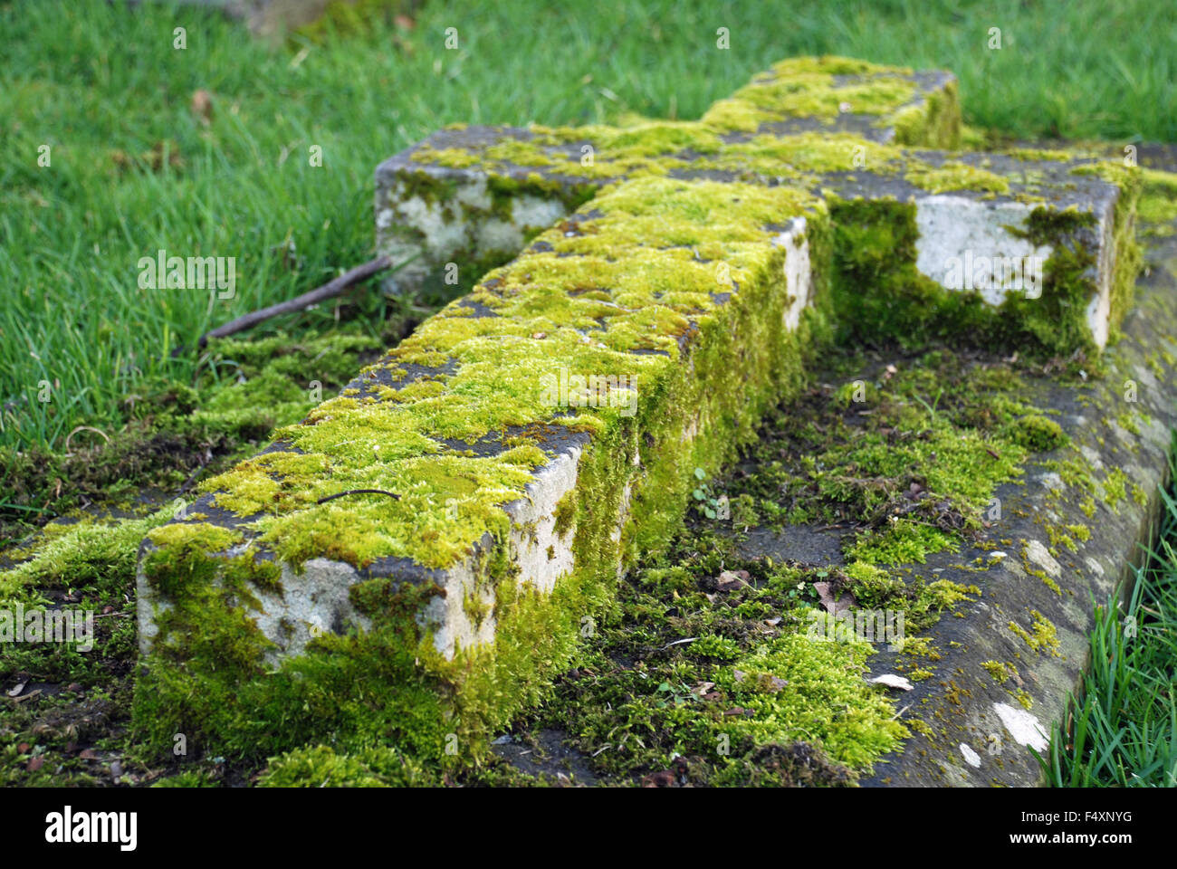 Moss covered graves hi-res stock photography and images - Alamy