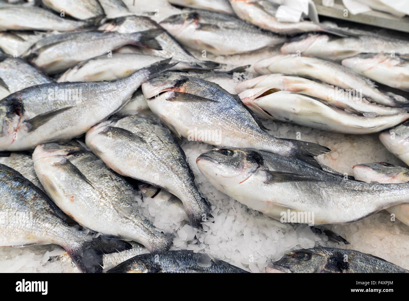 dorado fish on ice Stock Photo - Alamy