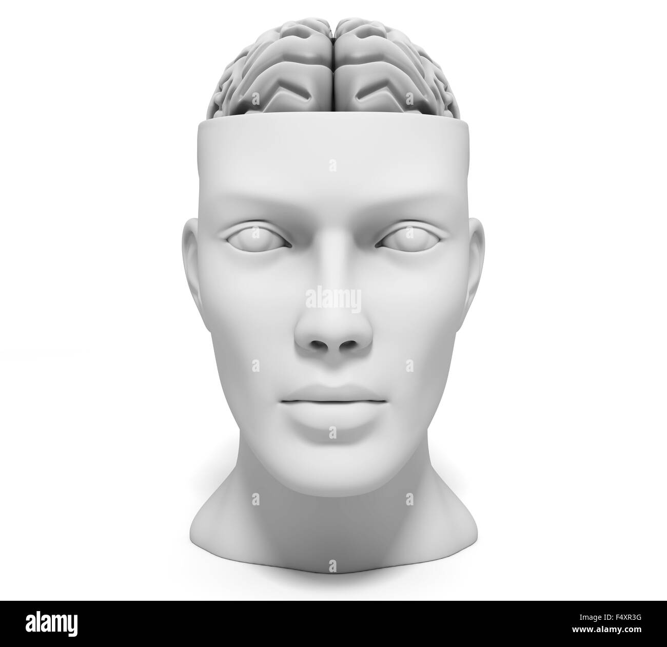 Head with brain hi-res stock photography and images - Alamy