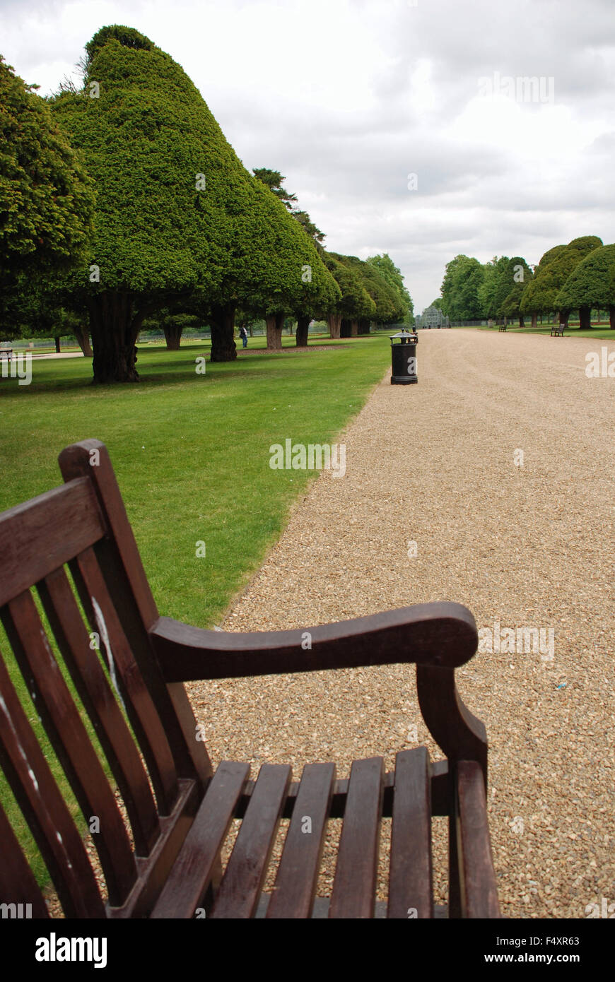 Fine trimmed yew trees and wooden park bench in Hampton Court Palace ...