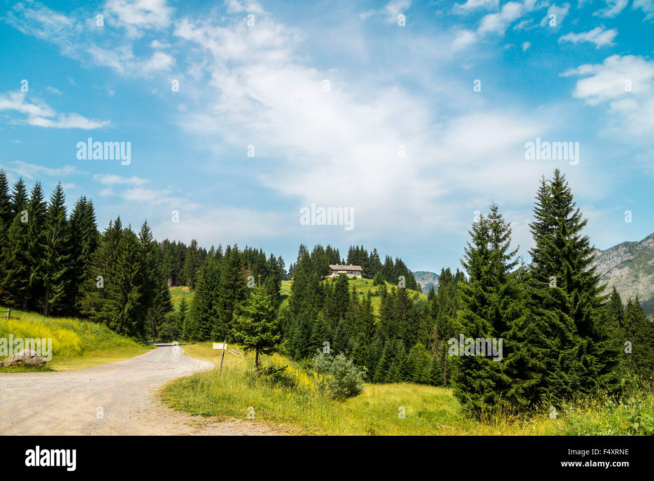 Plan de feux hi-res stock photography and images - Alamy