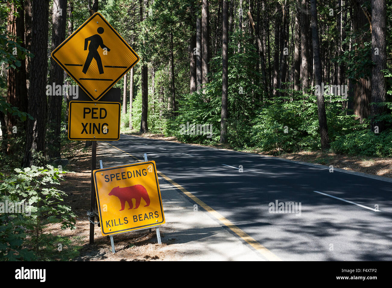 Traffic signs, warning of bears, Yosemite Valley, Yosemite National ...