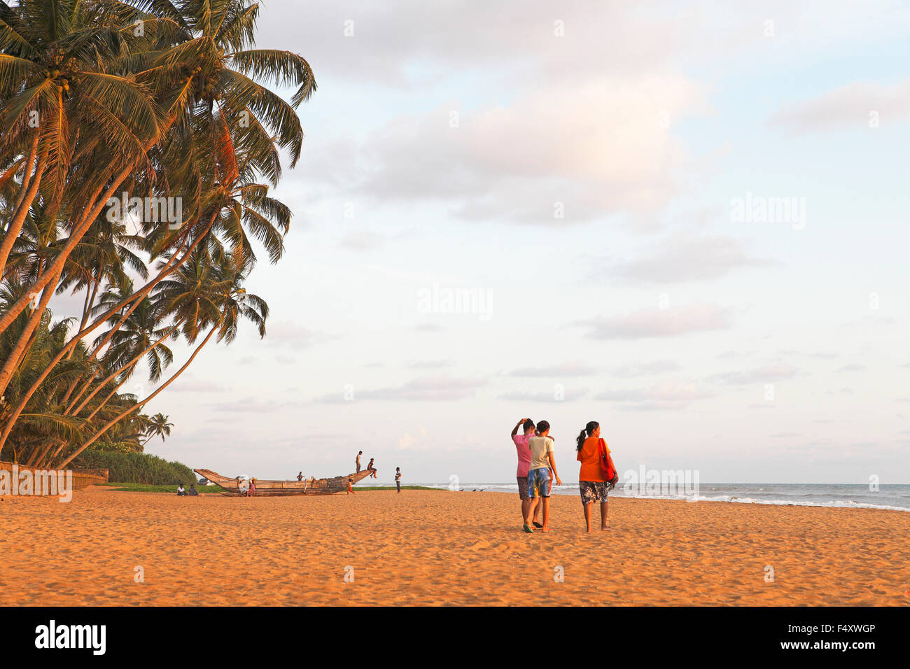 Wadduwa hi-res stock photography and images - Alamy