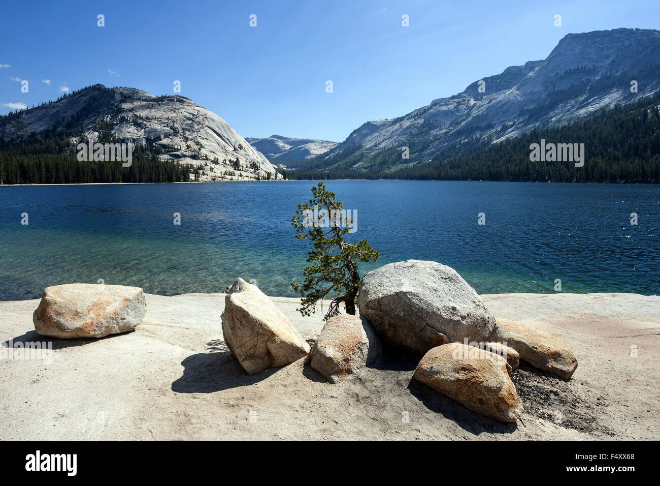 Tenaya Lake, Yosemite National Park, California, USA Stock Photo - Alamy