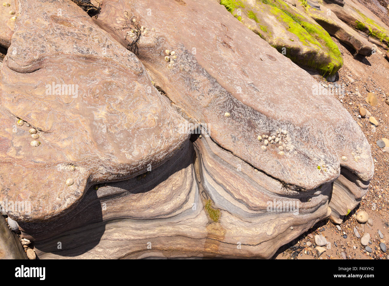 Interesting rock shapes hi-res stock photography and images - Alamy