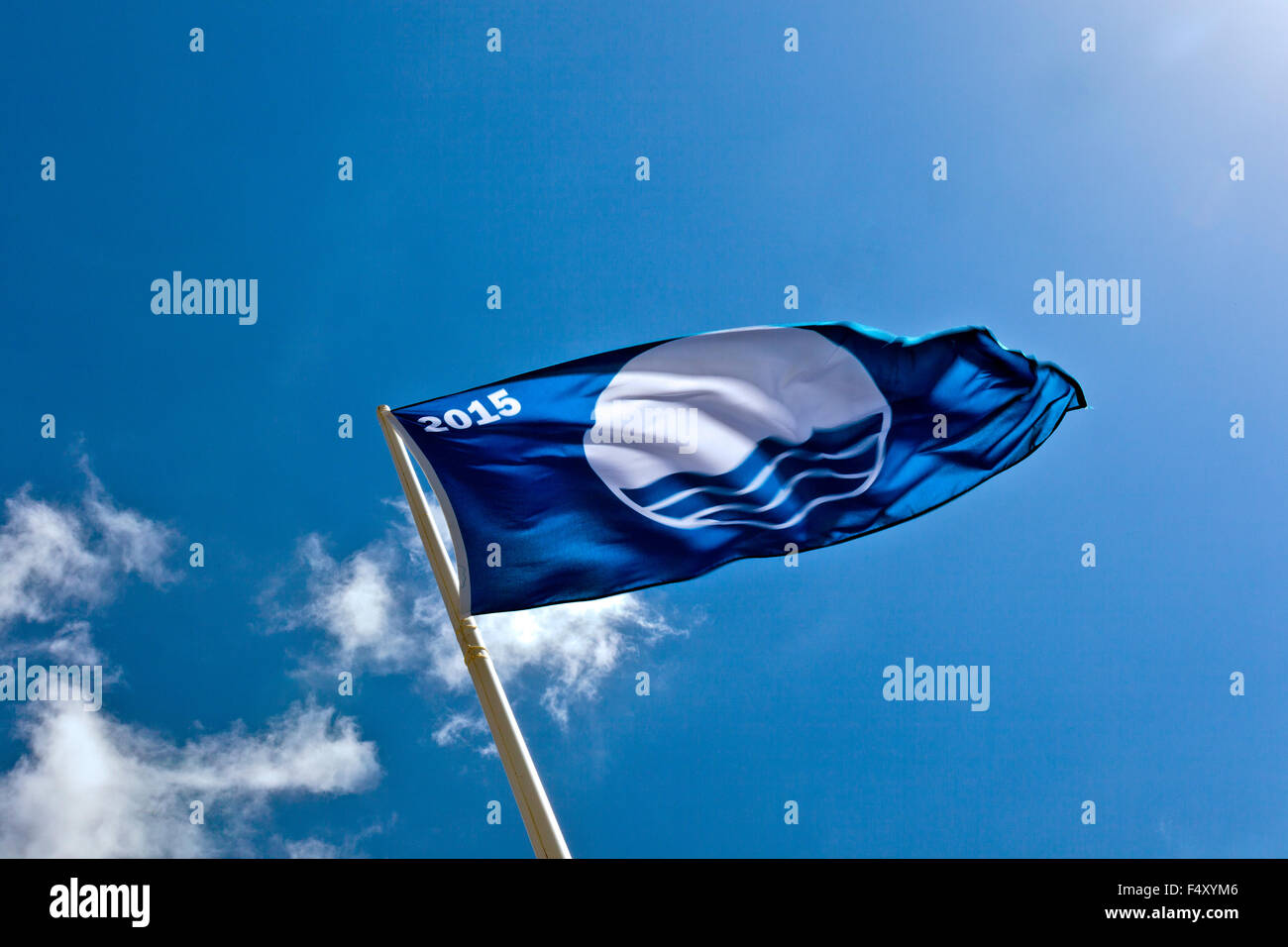 Blue flag hi-res stock photography and images - Alamy