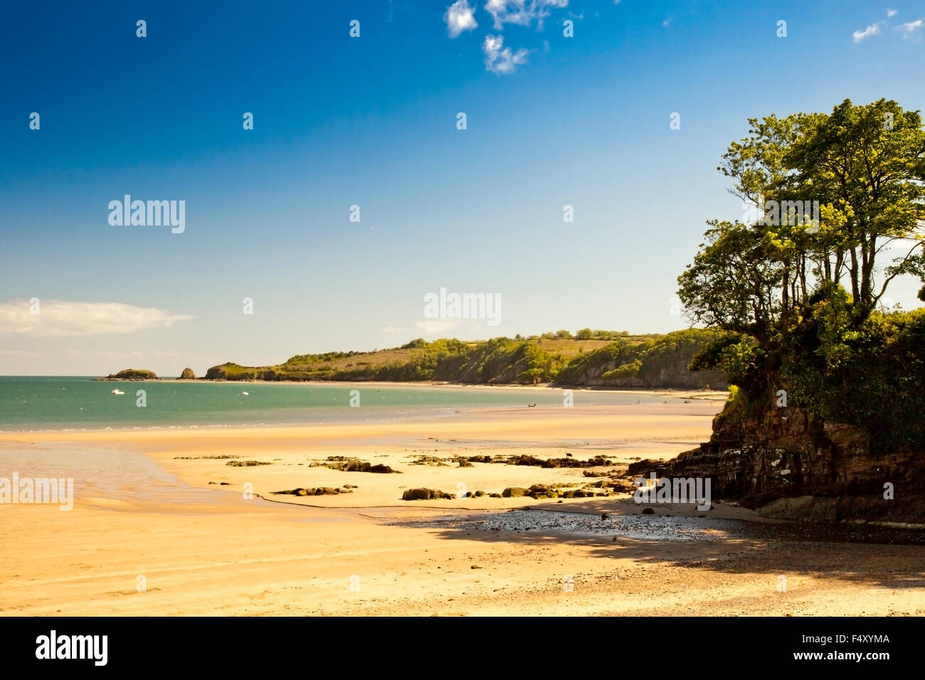 The pristine sands of Coppit Hall beach in Saundersfoot, Pembrokeshire ...