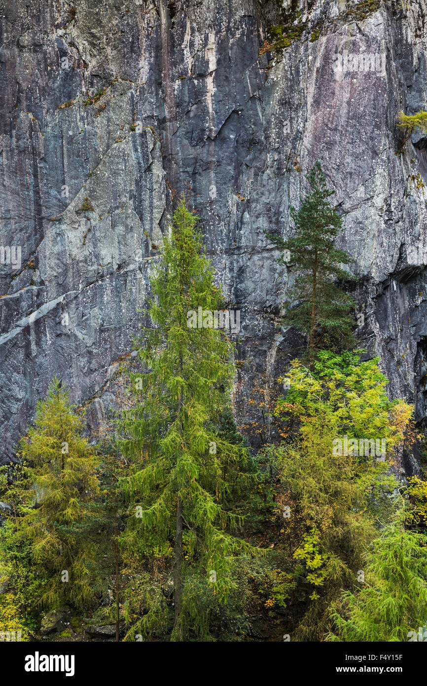 Trees and Vegetation Populate the Bottom of an Abandoned Slate Quarry ...