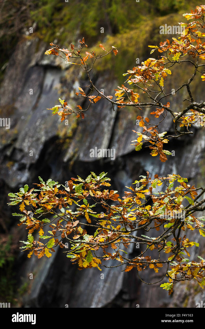 Quarrying green slate hi-res stock photography and images - Alamy