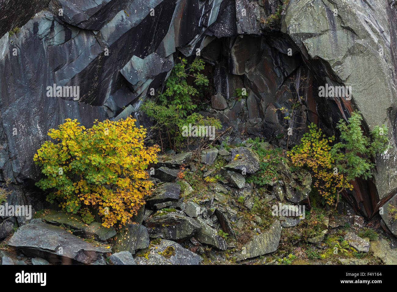 Trees and Vegetation Populate the Bottom of an Abandoned Slate Quarry ...