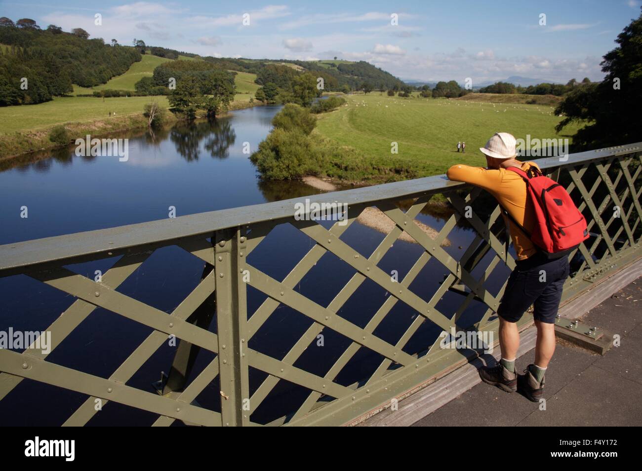 Man looking from bridge over River Lune near Caton Stock Photo - Alamy