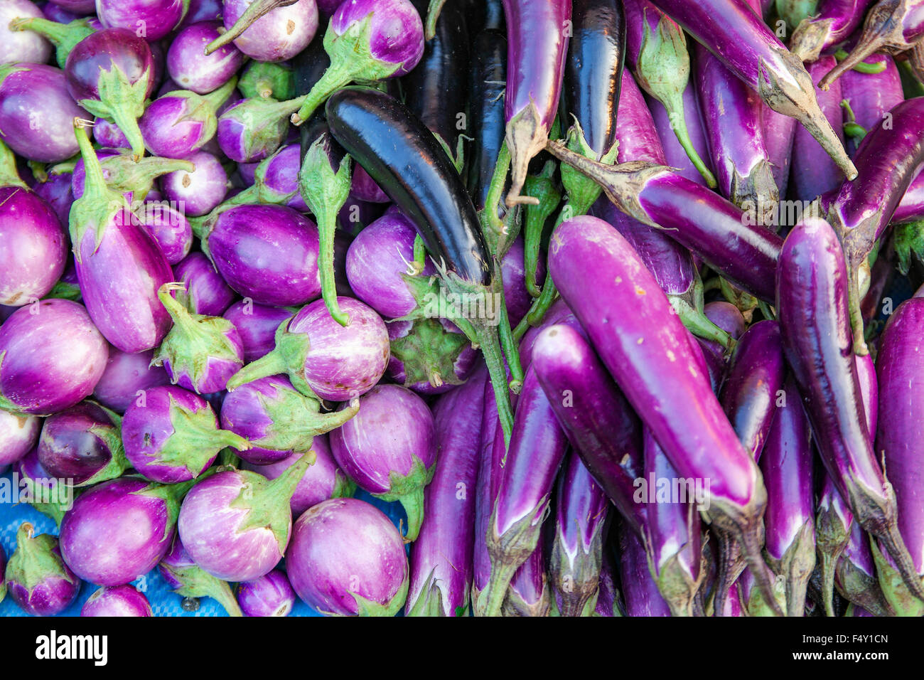 Round and long purple brinjal or eggplant selling at local sunday ...