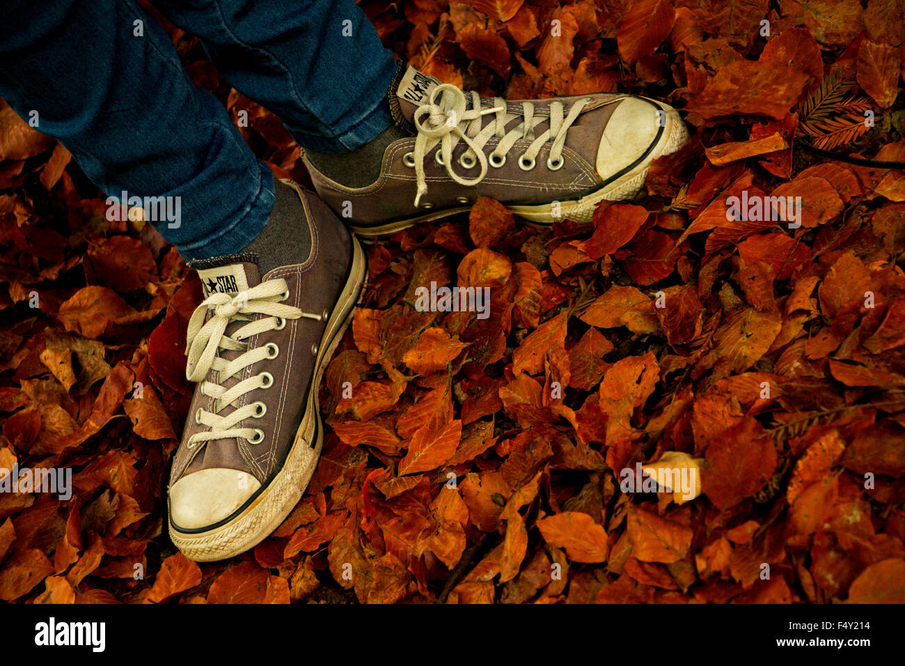 Person Stood in Autumn Leaves Stock Photo - Alamy