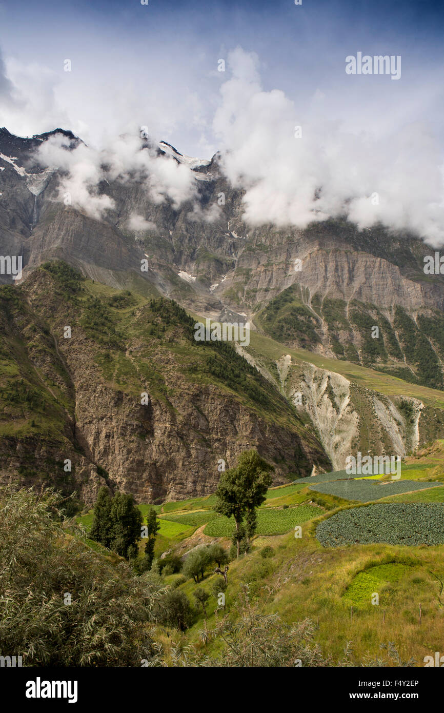 India, Himachal Pradesh, Lahaul Valley, Sissu village, agricultural ...