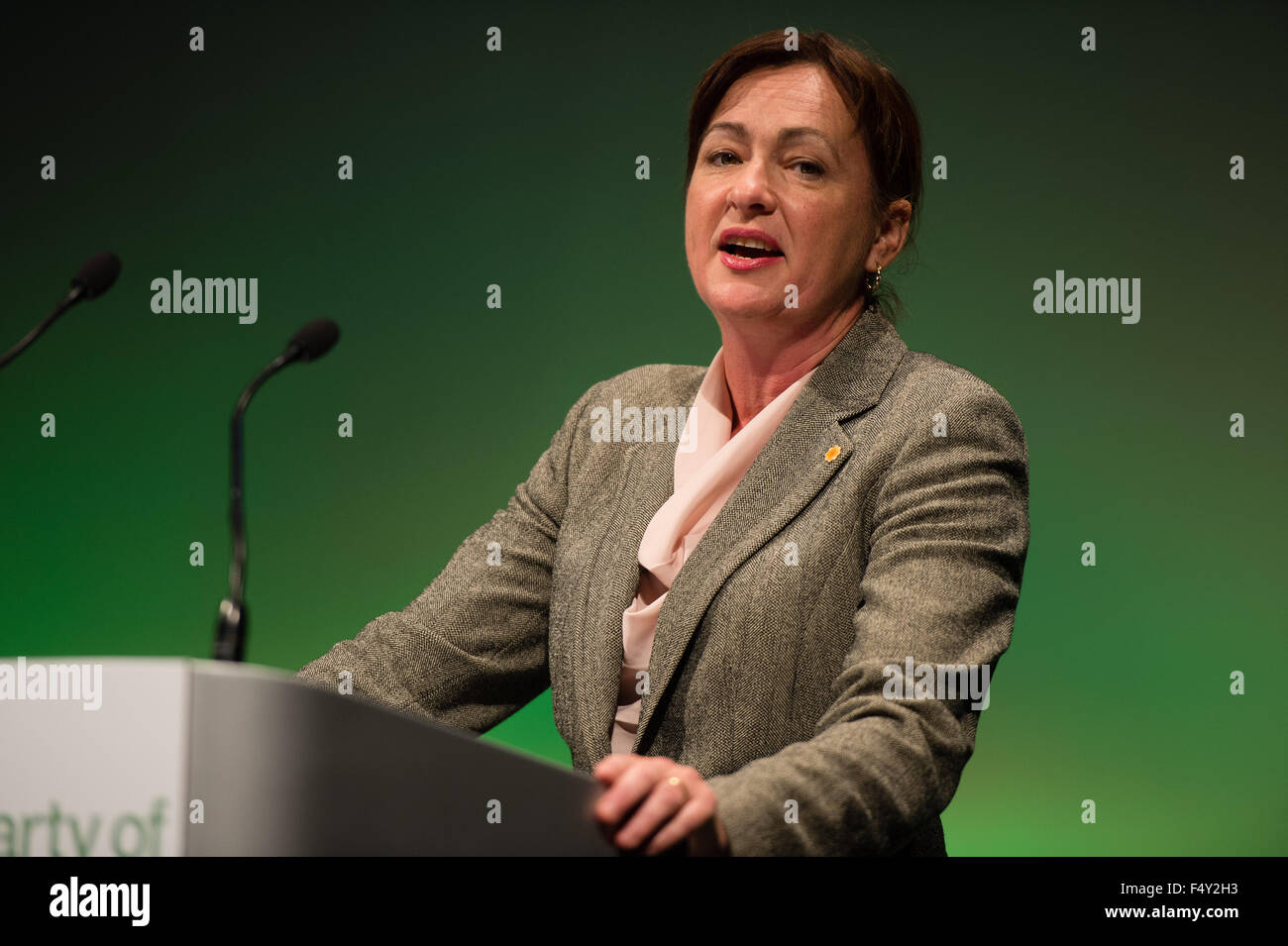 Liz saville roberts hi-res stock photography and images - Alamy