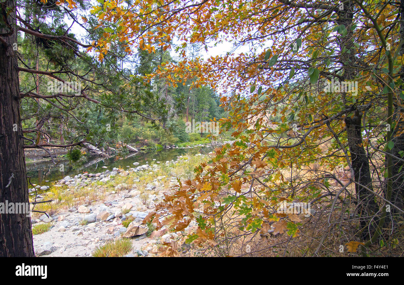 Mountain stream with fall color Stock Photo - Alamy