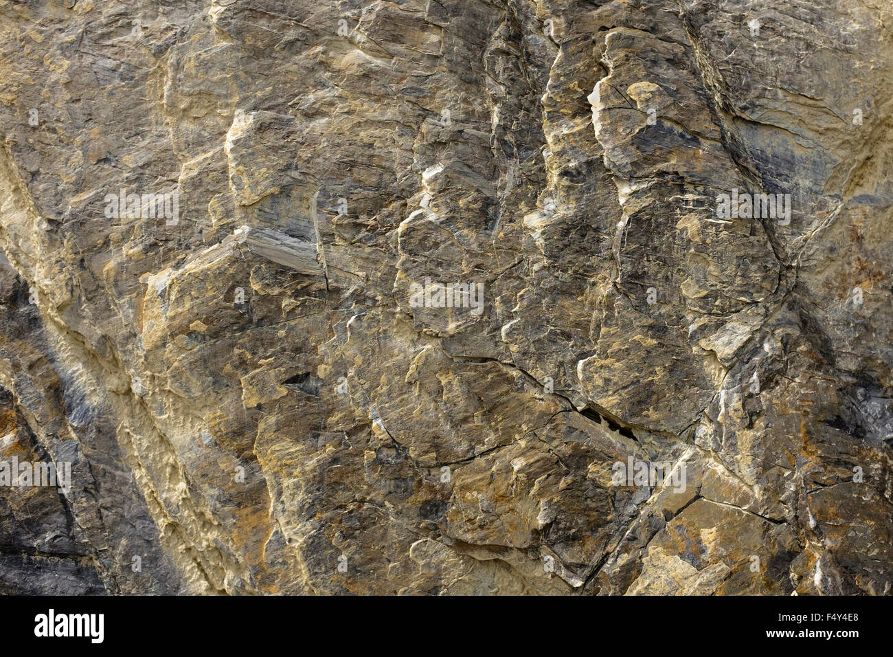 A rock face in the Rocky Mountains of Canada near Golden British ...