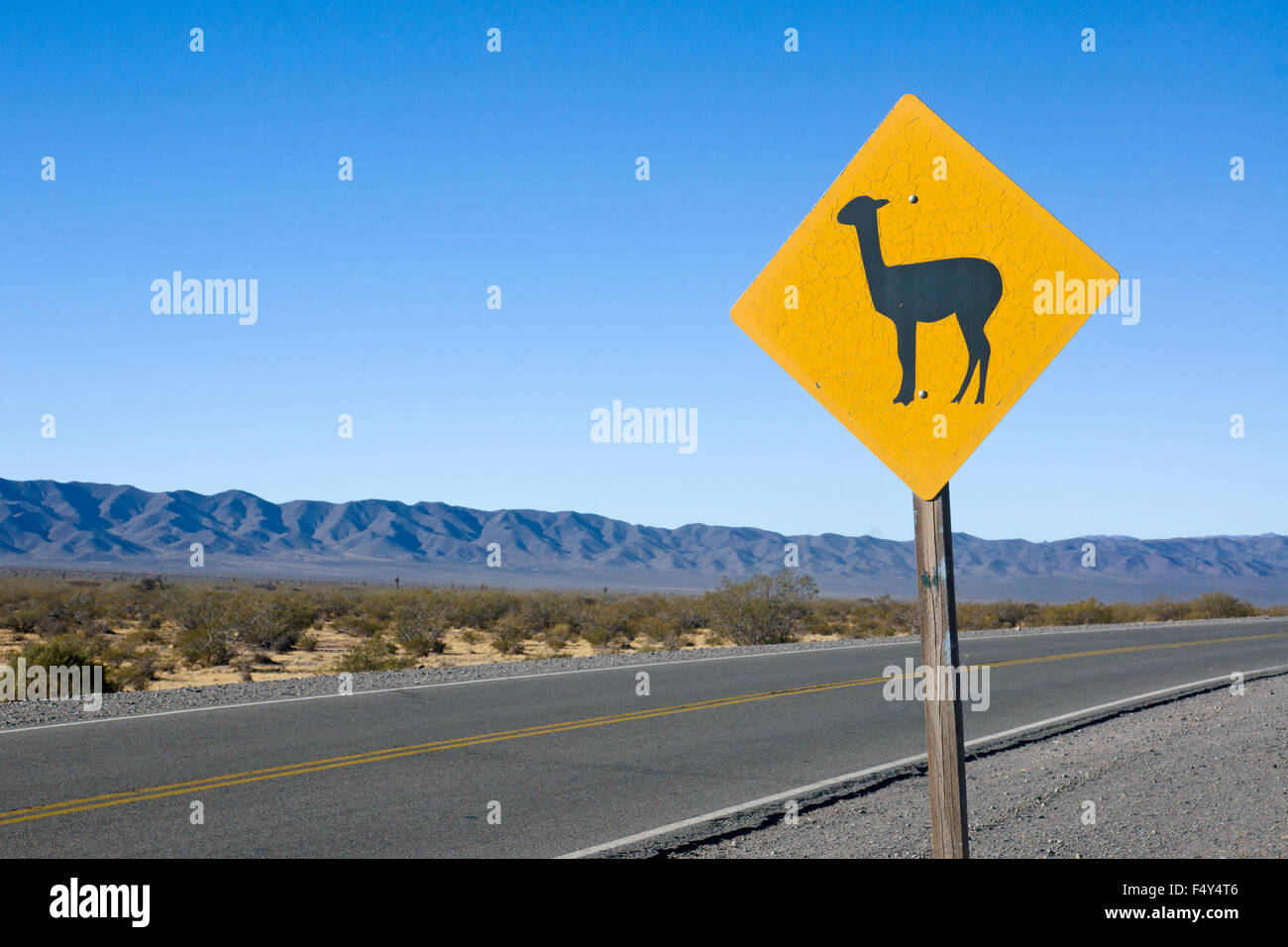Llama warning sign hi-res stock photography and images - Alamy