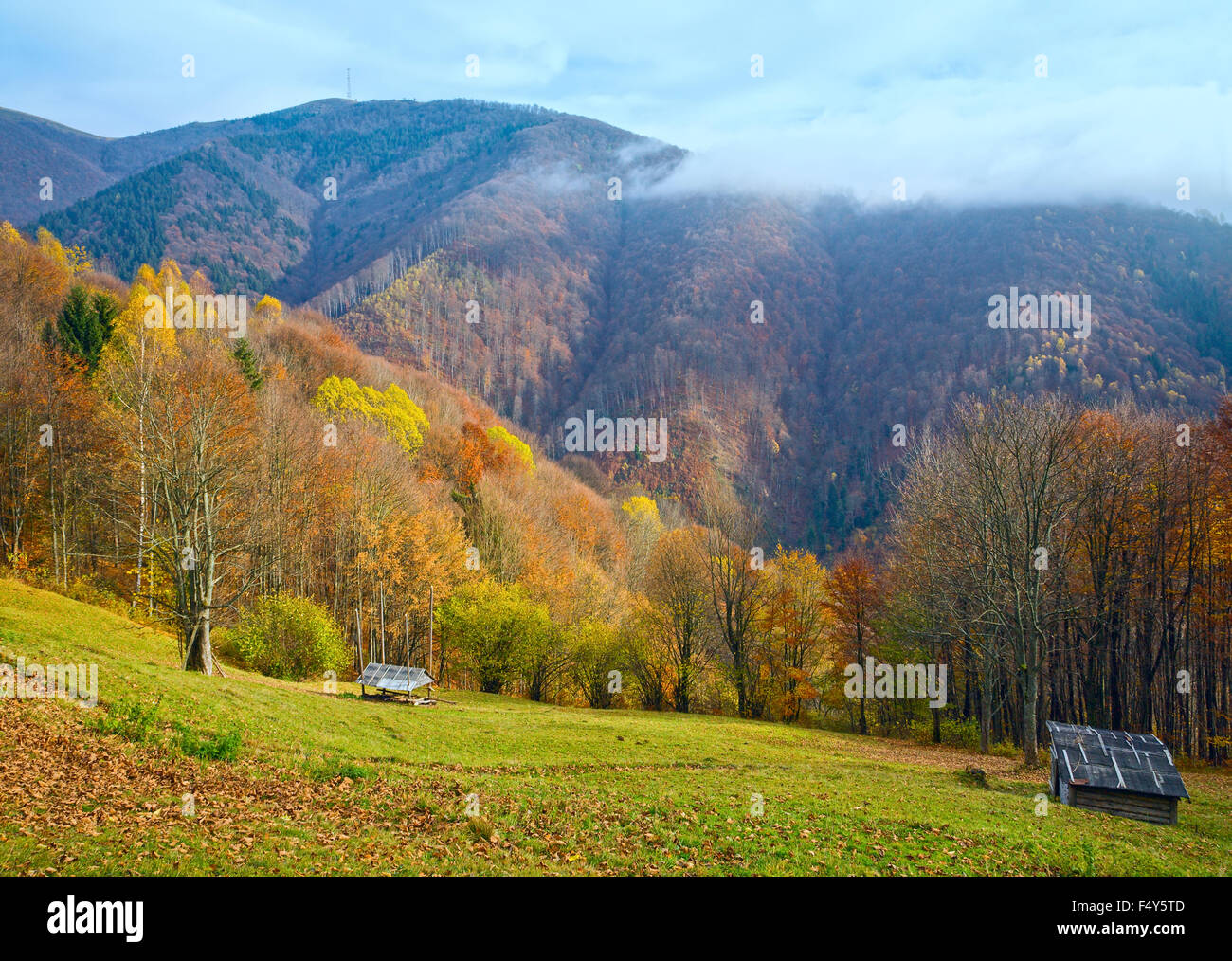 Cattle ridge track hi-res stock photography and images - Alamy