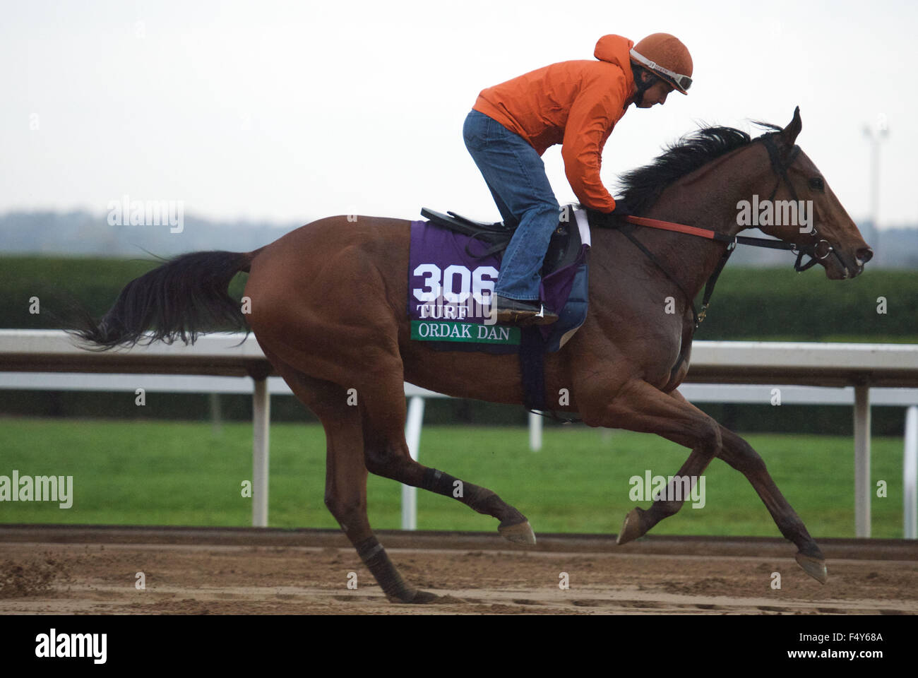 Usa. 24th Oct, 2015. October 24, 2015: Ordak Dan, trained by Juan C ...