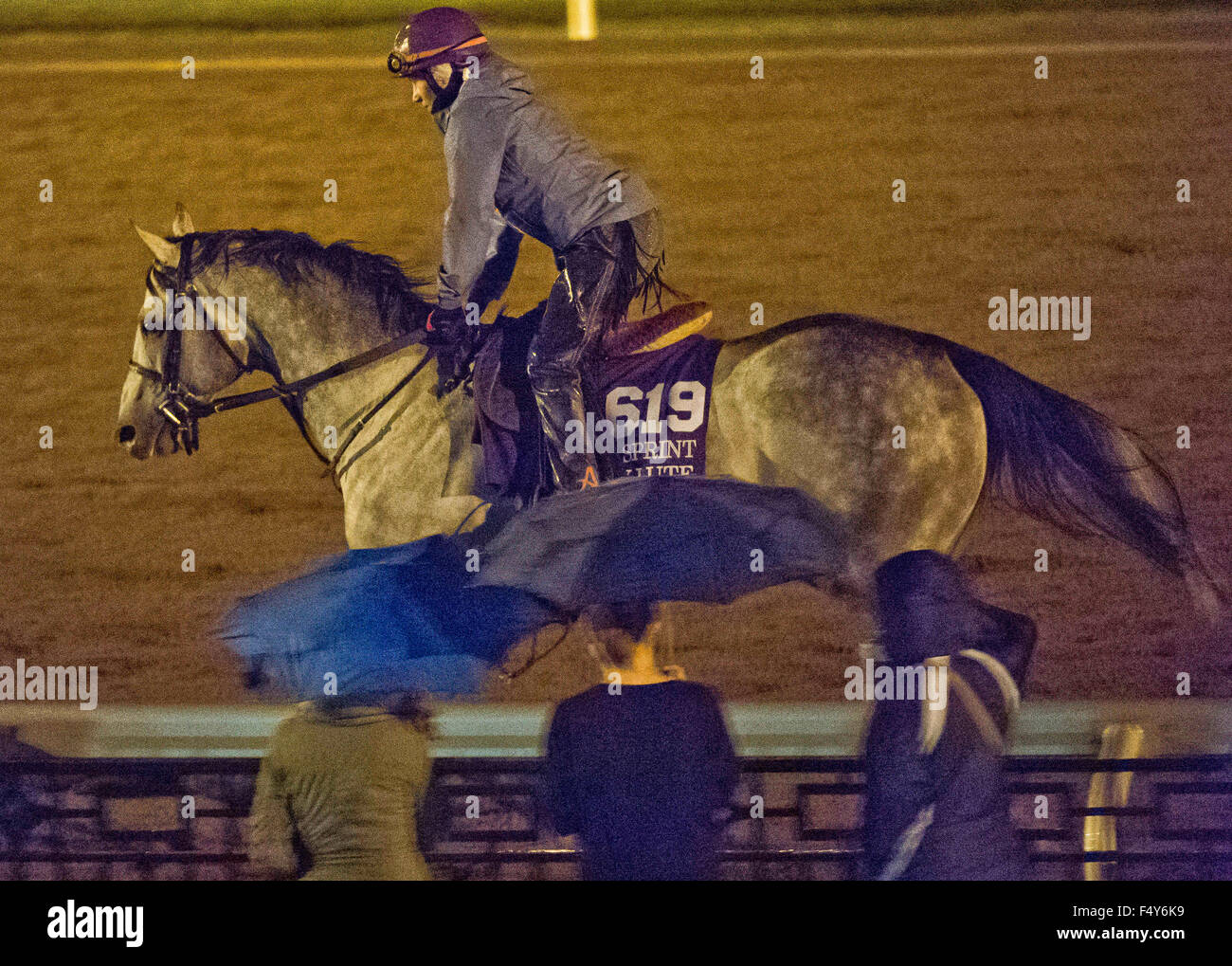 Lexington, Kentucky, USA. 24th Oct, 2015. October 24, 2015 : Holy Lute ...