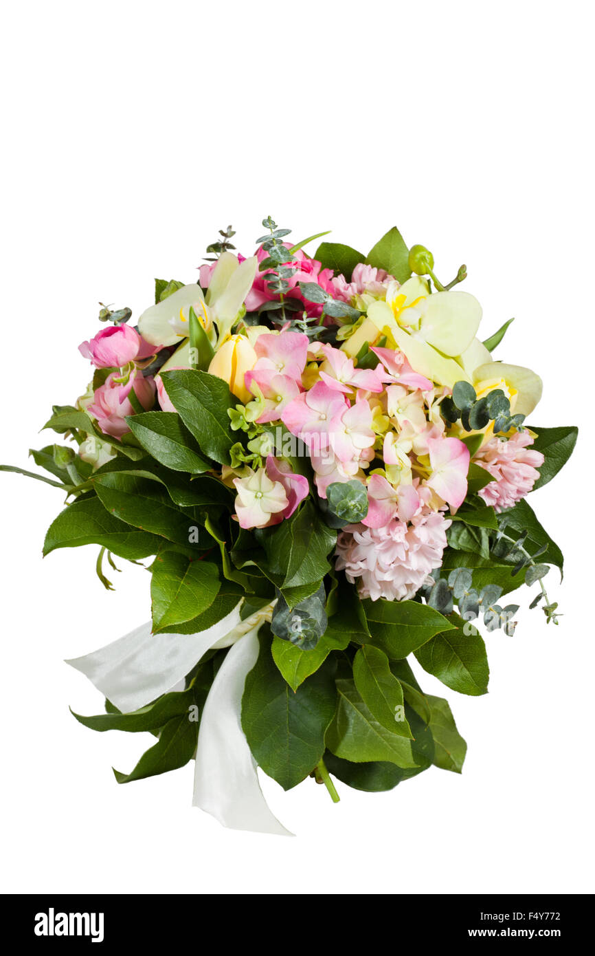 flowers isolated on white background Stock Photo - Alamy