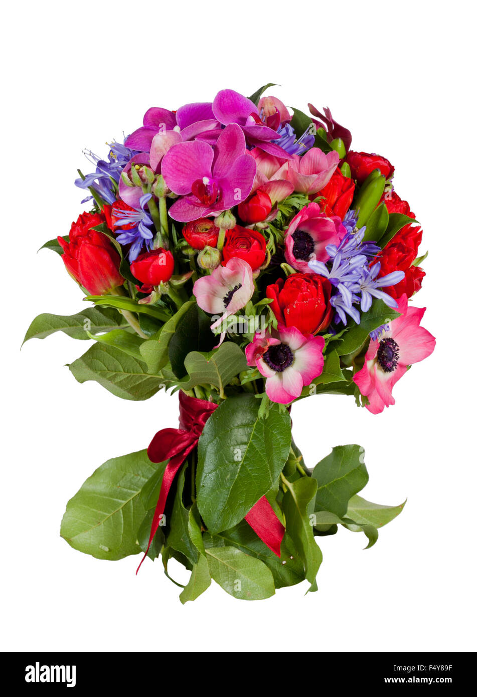 flowers isolated on white background Stock Photo - Alamy