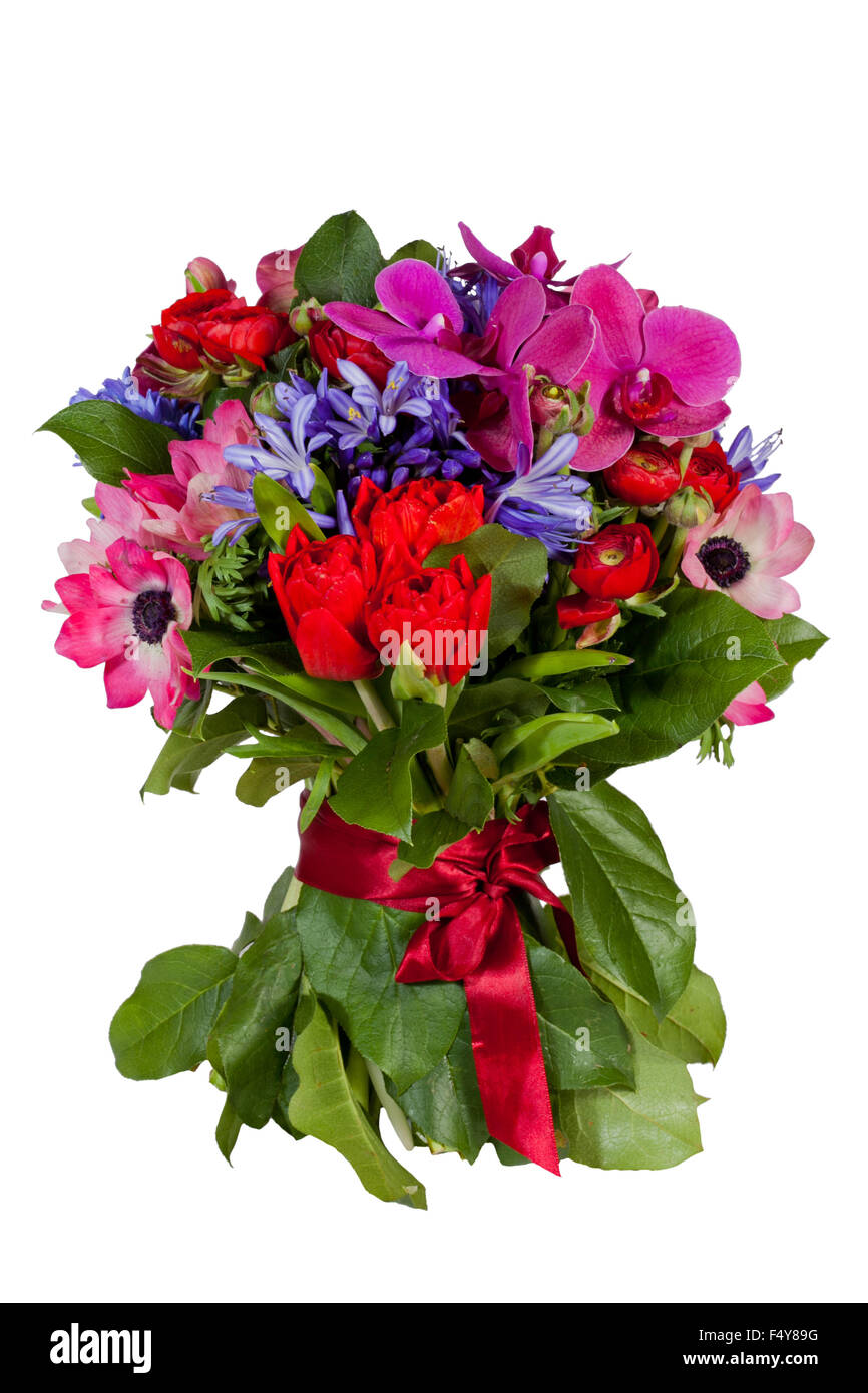 flowers isolated on white background Stock Photo - Alamy