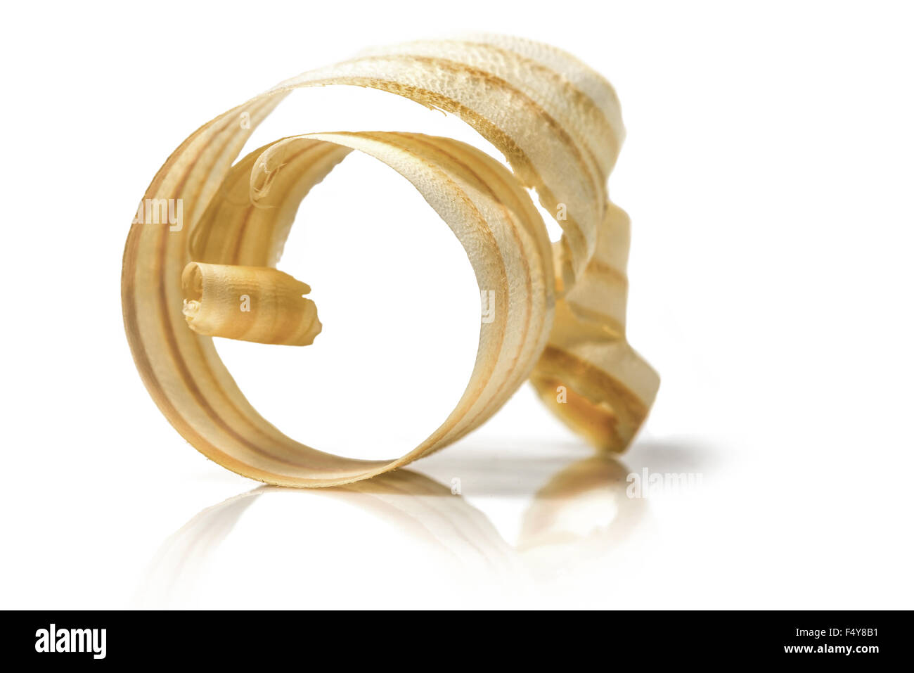 spiral wood (pine-tree) shaving Isolated on white background Stock ...