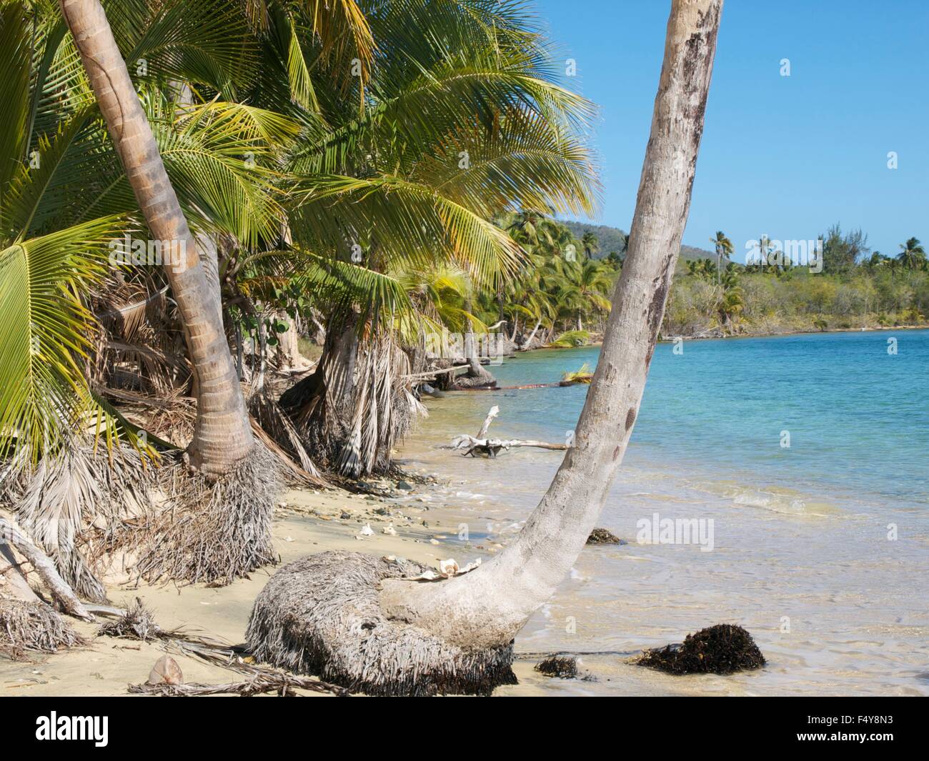 Beach ocean view on Vieques, Puerto Rico Stock Photo - Alamy