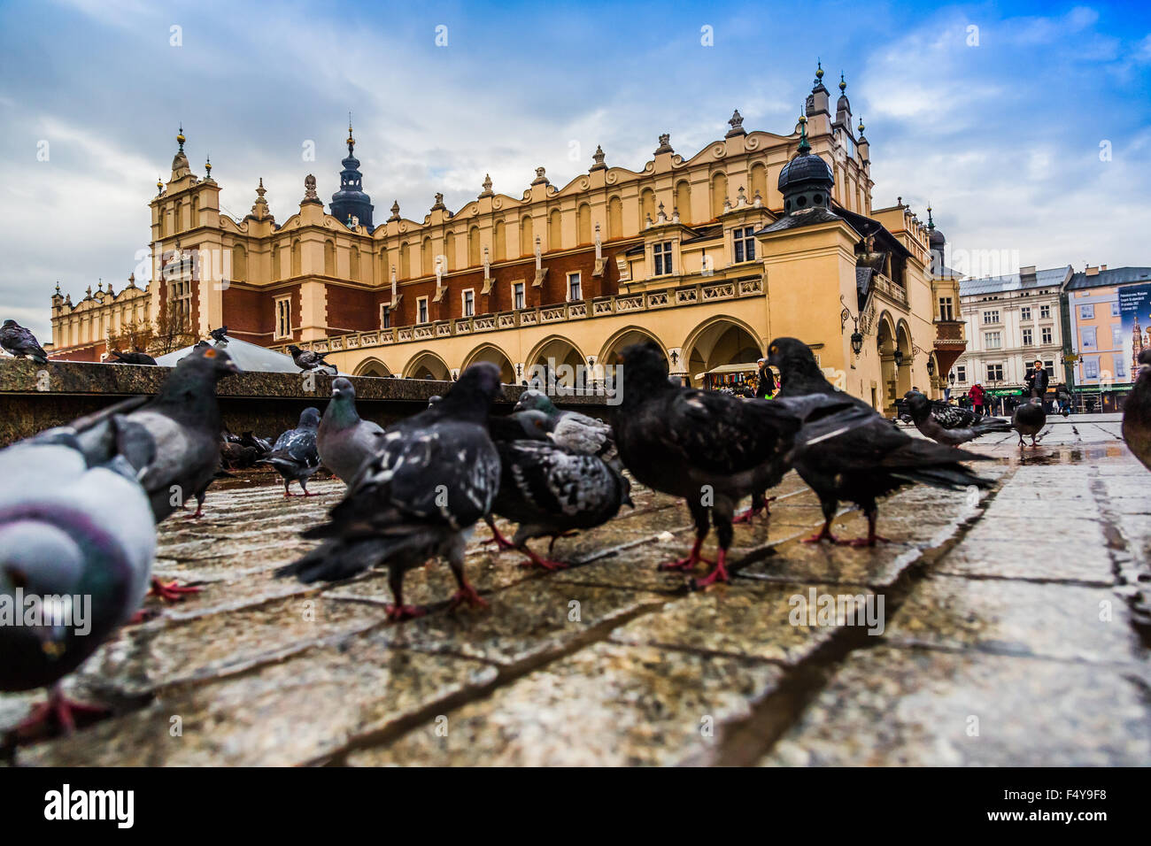 Doves in the square hi-res stock photography and images - Alamy