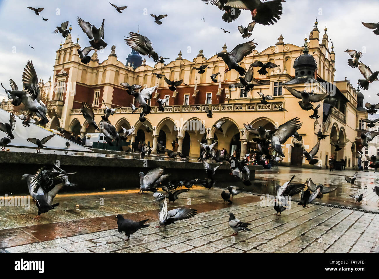 Doves in the square hi-res stock photography and images - Alamy