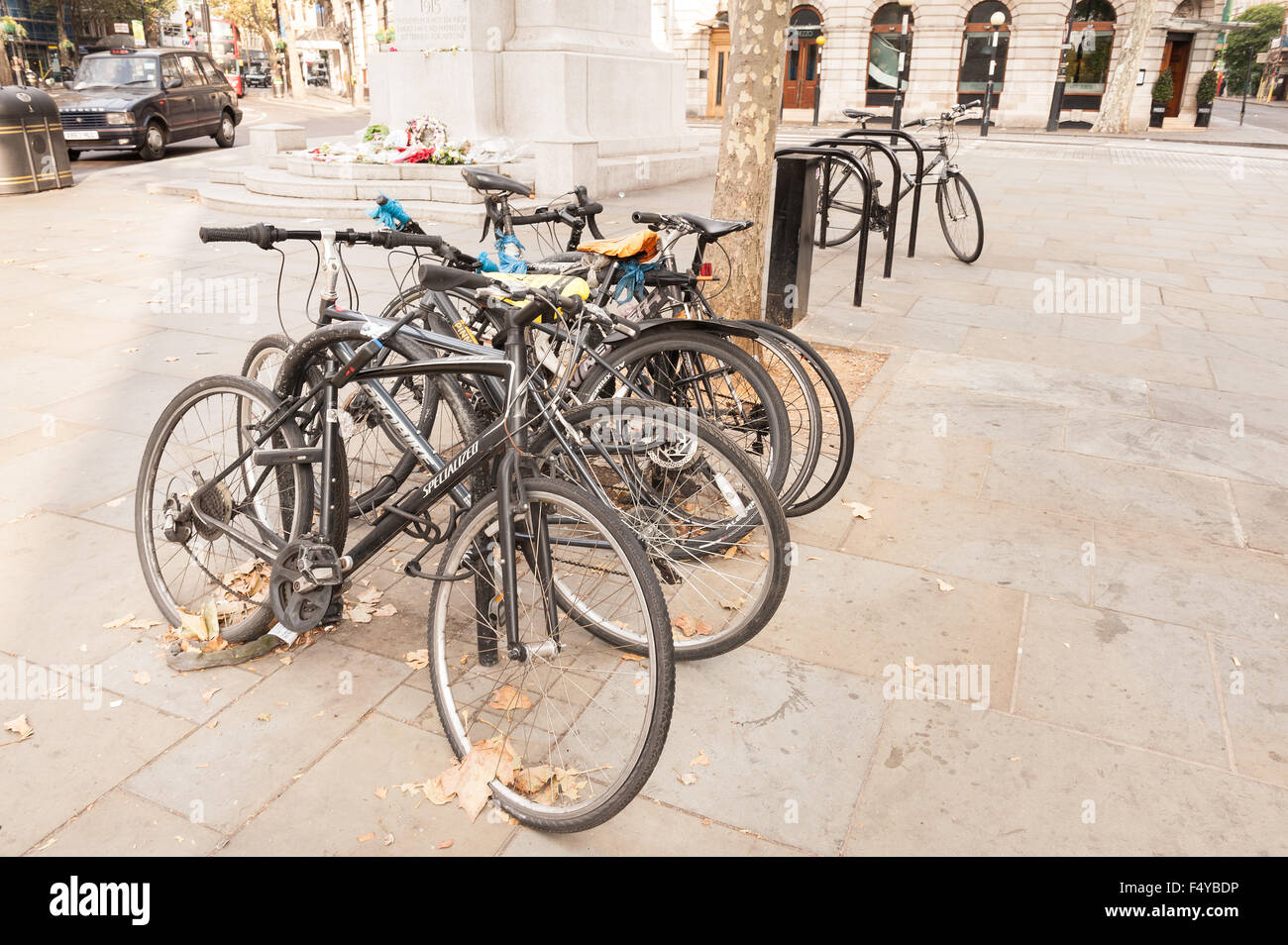 Massive numbers of bikes chained up on trees racks in center of ...