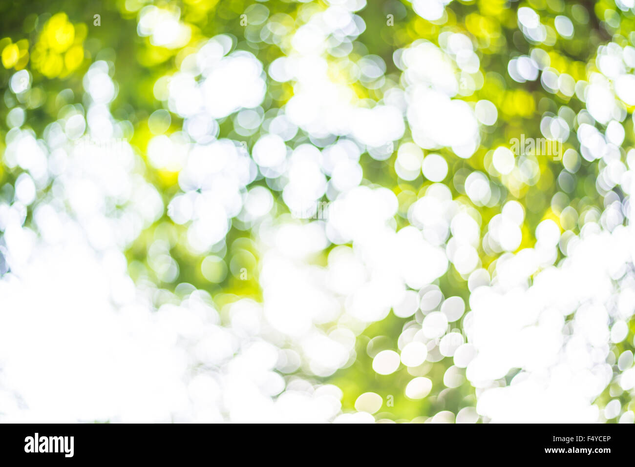 Zoom shot out of focus green tree for background. Bokeh Stock Photo - Alamy