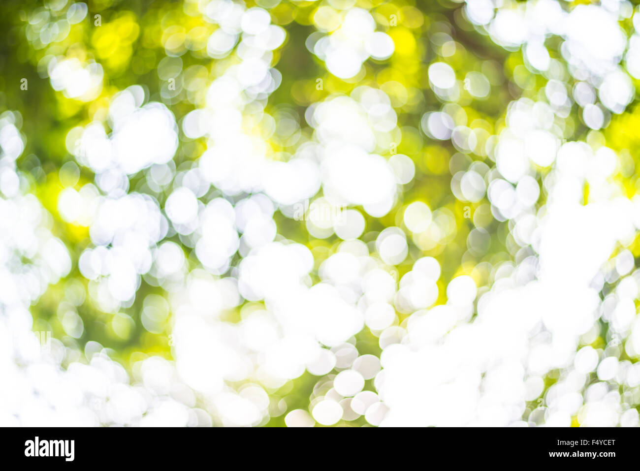 Zoom shot out of focus green tree for background. Bokeh Stock Photo - Alamy